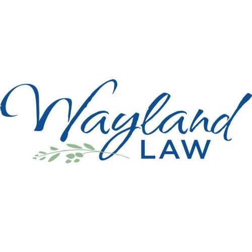 About - Wayland Law PC - Evergreen, CO